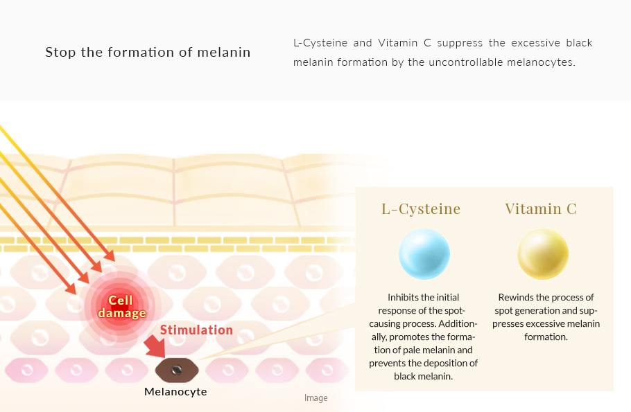Cinal® L White EXIA| ShionogiHealthcare