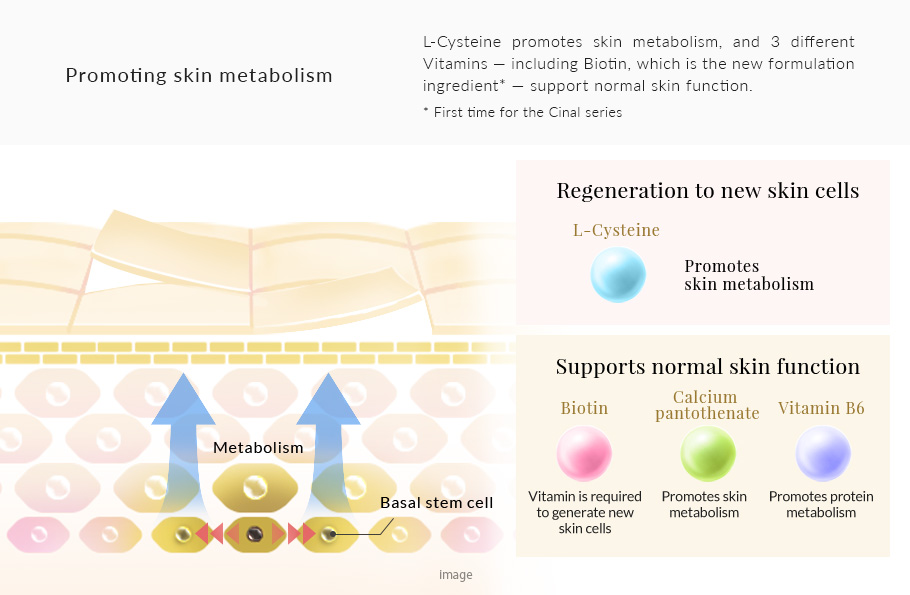 Cinal® L White EXIA| ShionogiHealthcare